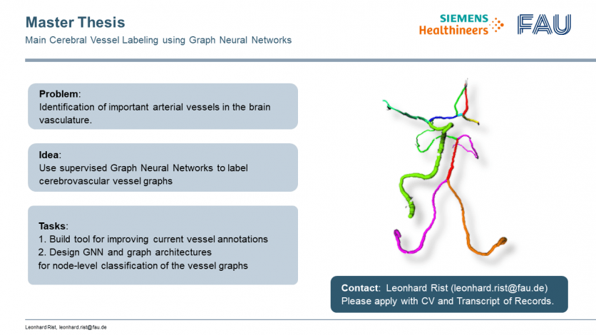 Main Cerebral Vessel Labeling using Graph Neural Networks - Pattern Recognition Lab