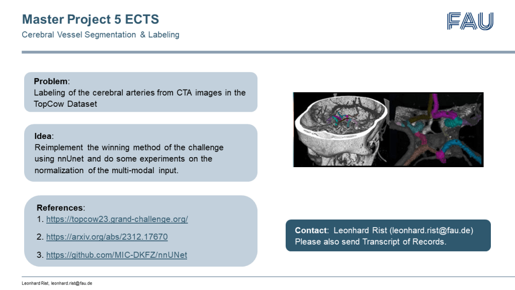 Volumetric Cerebral Vessel Labeling - Pattern Recognition Lab